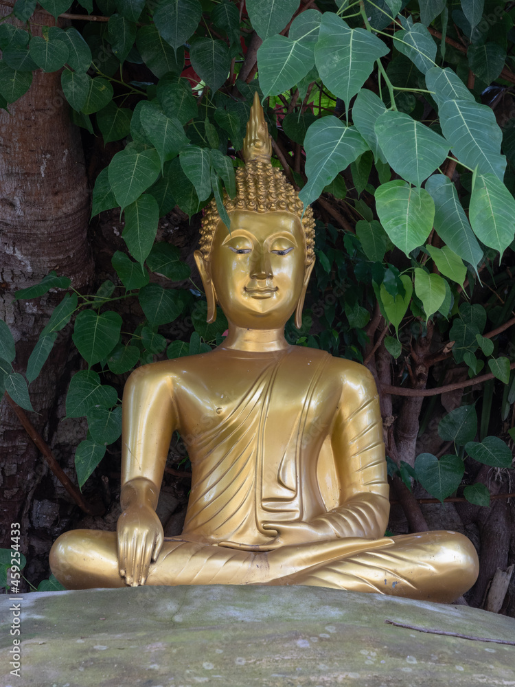 Golden buddha statue subduing Mara under bodhi tree or ficus religiosa ...