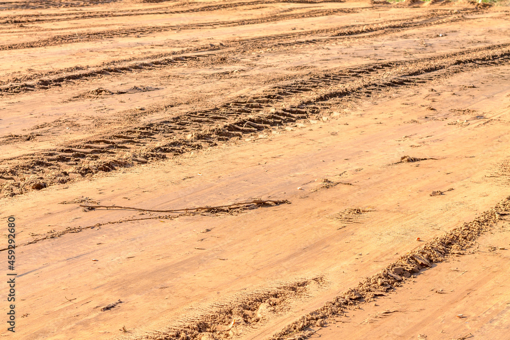 Sandy background. Freshly leveled. Topic - foundation, start of house ...