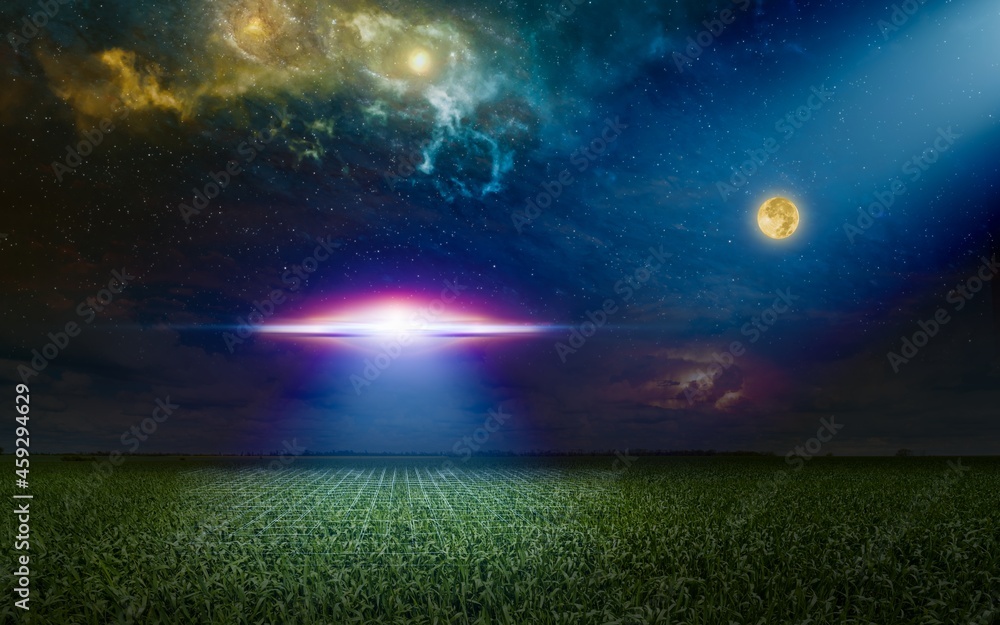 Grass Field Night Wallpaper