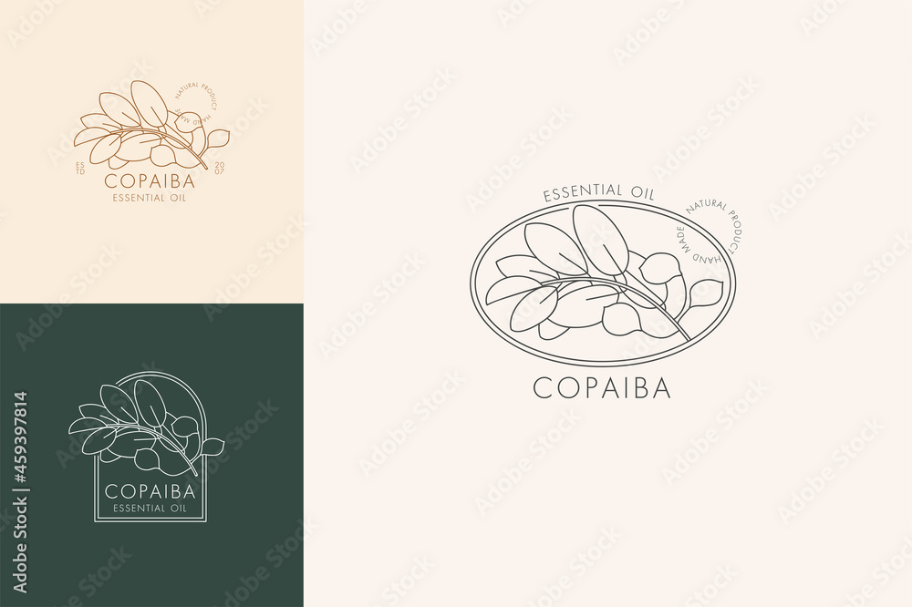 Vector linear set botanical icons and symbols - copaiba. Design logos ...