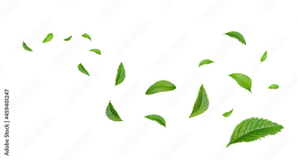 Green Floating Leaves Flying Leaves Green Leaf Dancing, Air Purifier ...