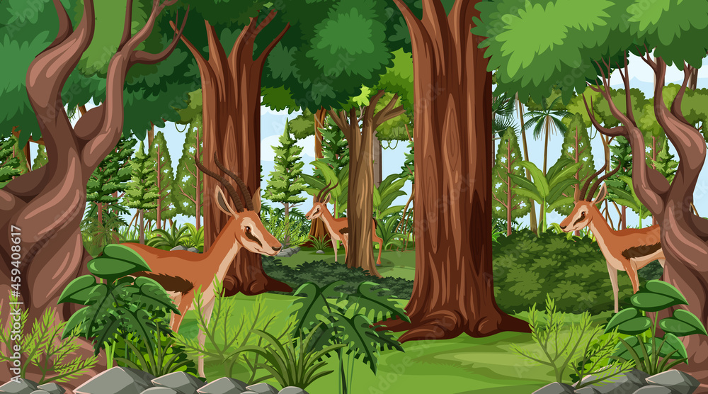 Wild animals in forest landscape background Stock Vector | Adobe Stock