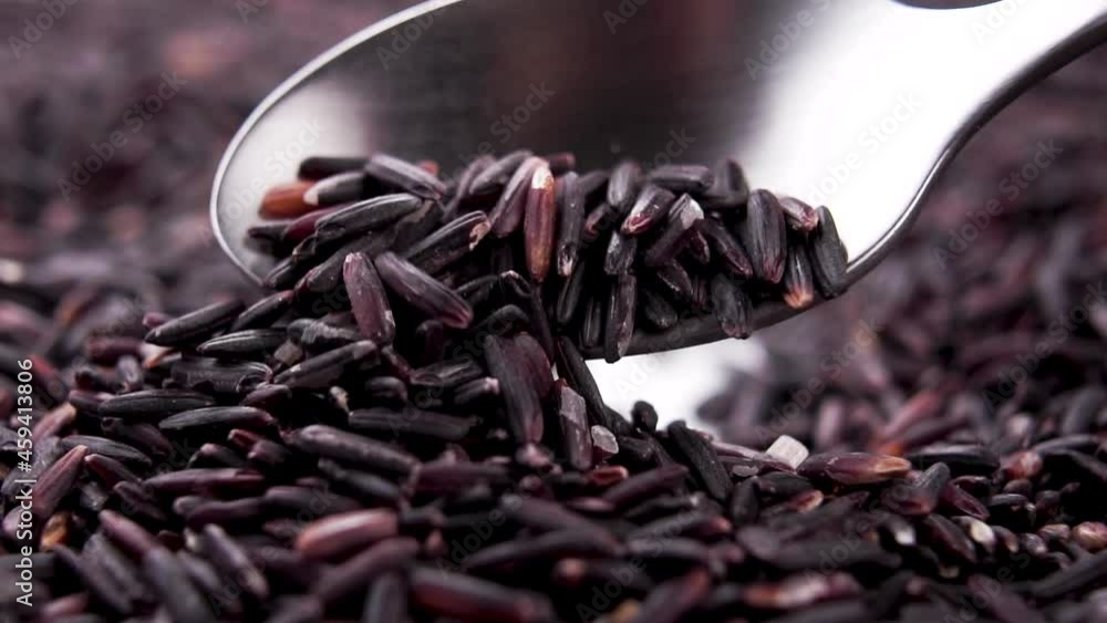 Dry black rice grains. Spooning. Macro. Falling seeds in slow motion ...