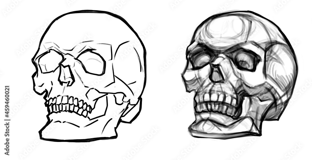 Sketch academic drawing skull digital art. human skillet isoletad on ...