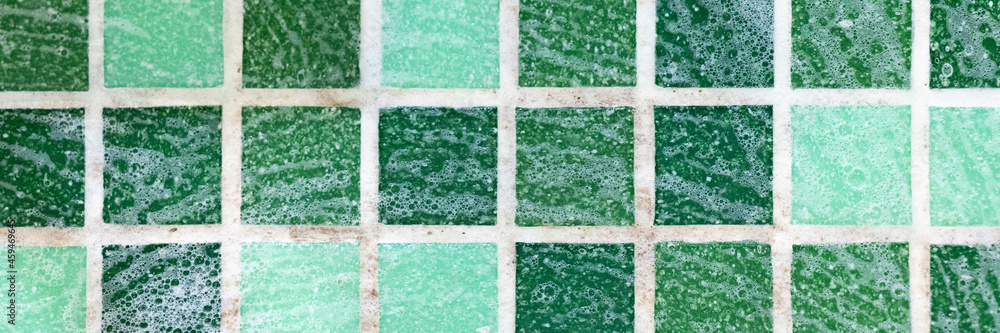 mold on joints between the ceramic tile in bathroom with a cleaning ...