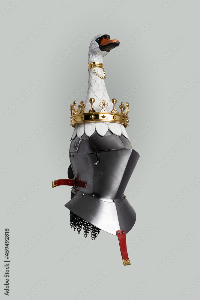 Medieval Bird Helmets