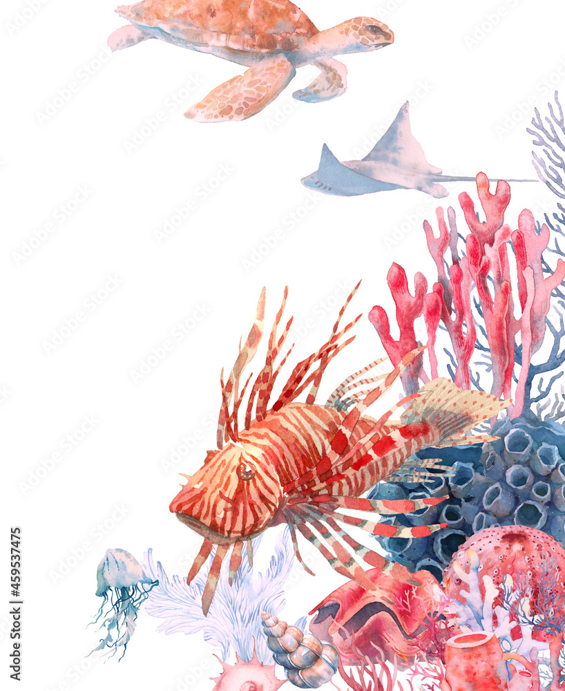 Underwater life illustration. Realistic coral reef hand painted with ...