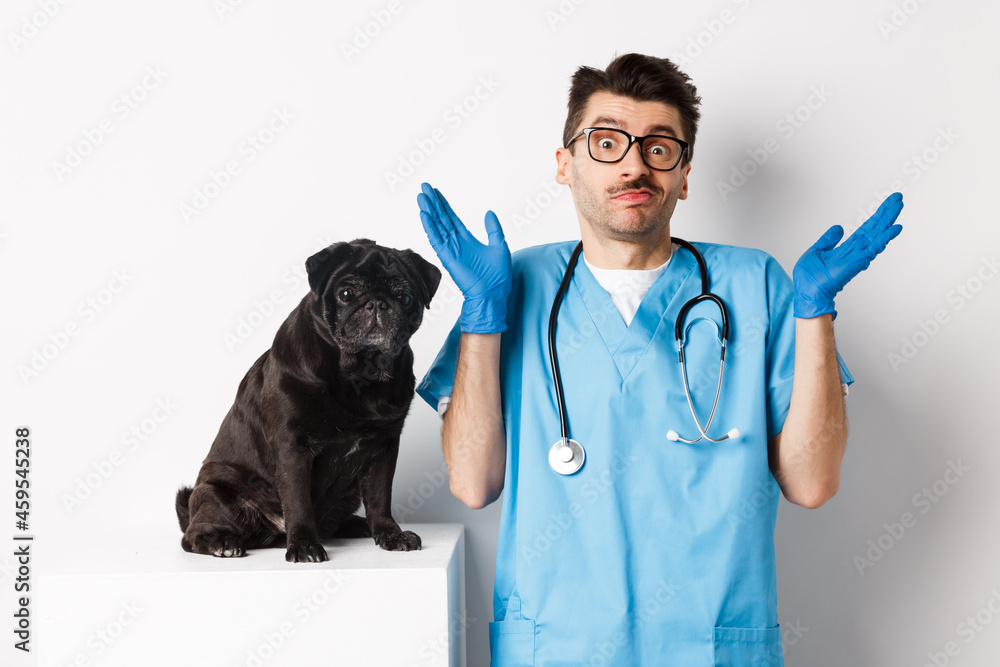 Clueless doctor veteriantian in scrubs shrugging, staring at camera ...