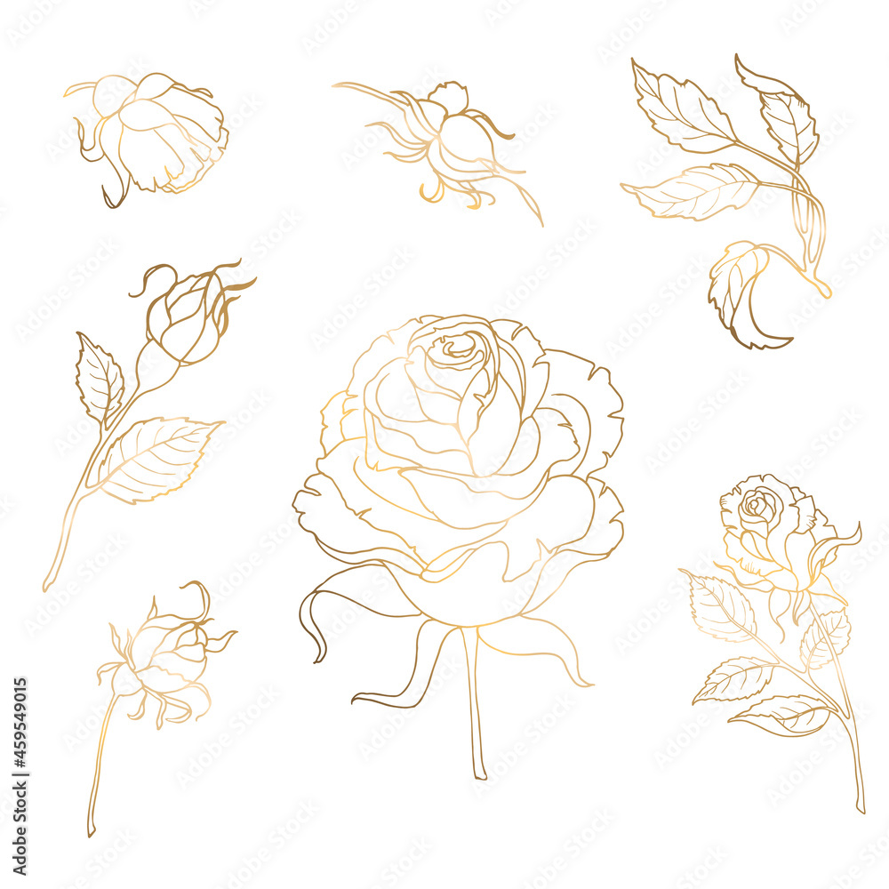 Rose gold flower is drawn by hand with thin lines. A set of buds and ...