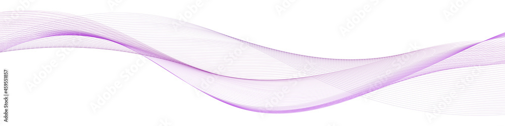 Abstract wave swirl swoosh. Purple and pink color flow, dynamic ...