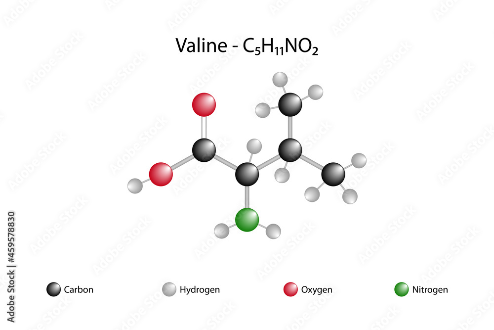 Molecular formula of valine. Valine is one of the 20 amino acids that ...