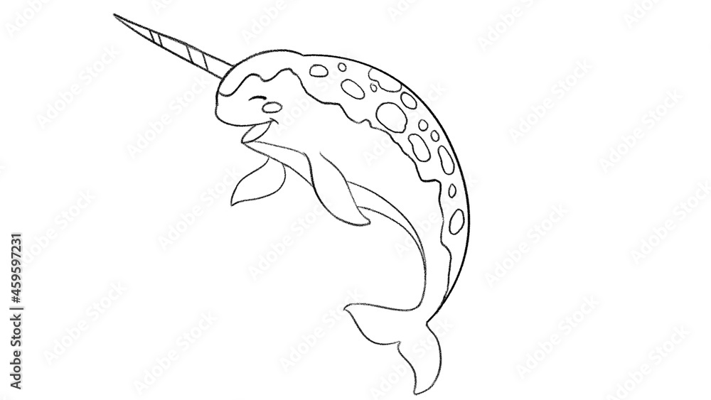 Narwhal Animal line drawing coloring templates for art class Stock ...