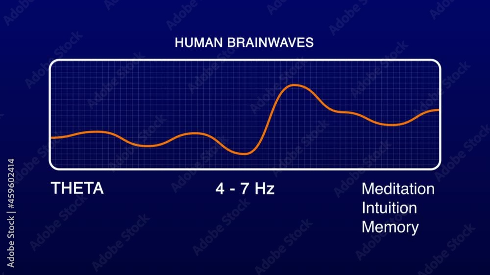 Vidéo Stock Theta Human Brain Waves Diagram Illustration Animation ...