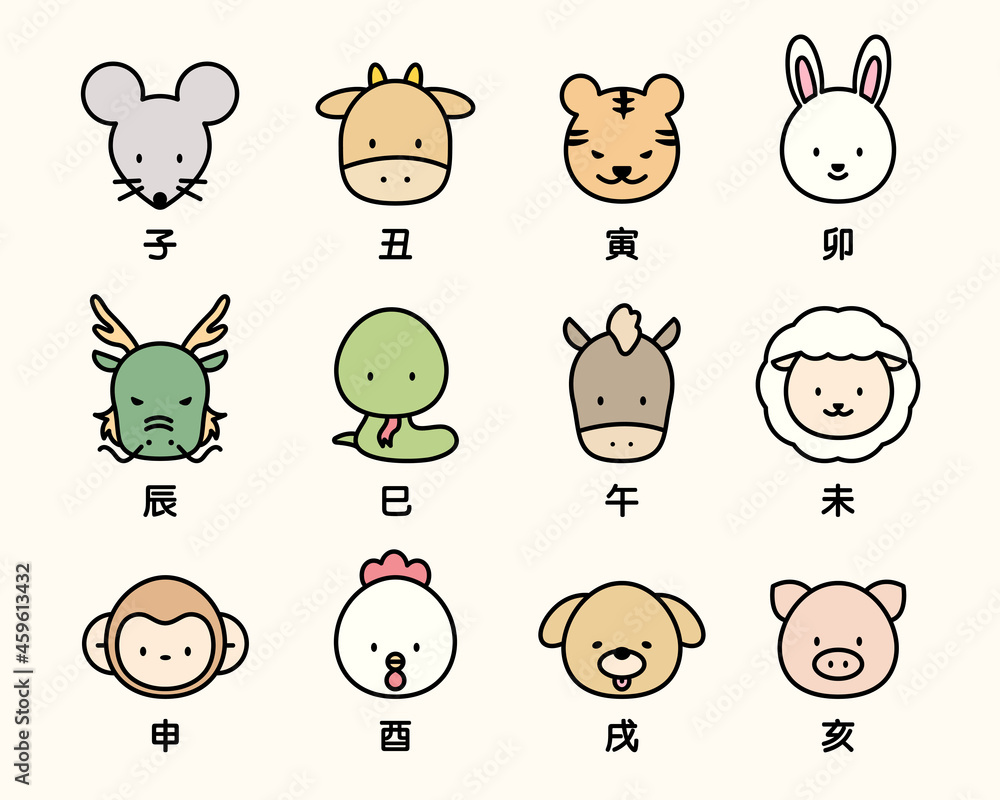 Animals Typing