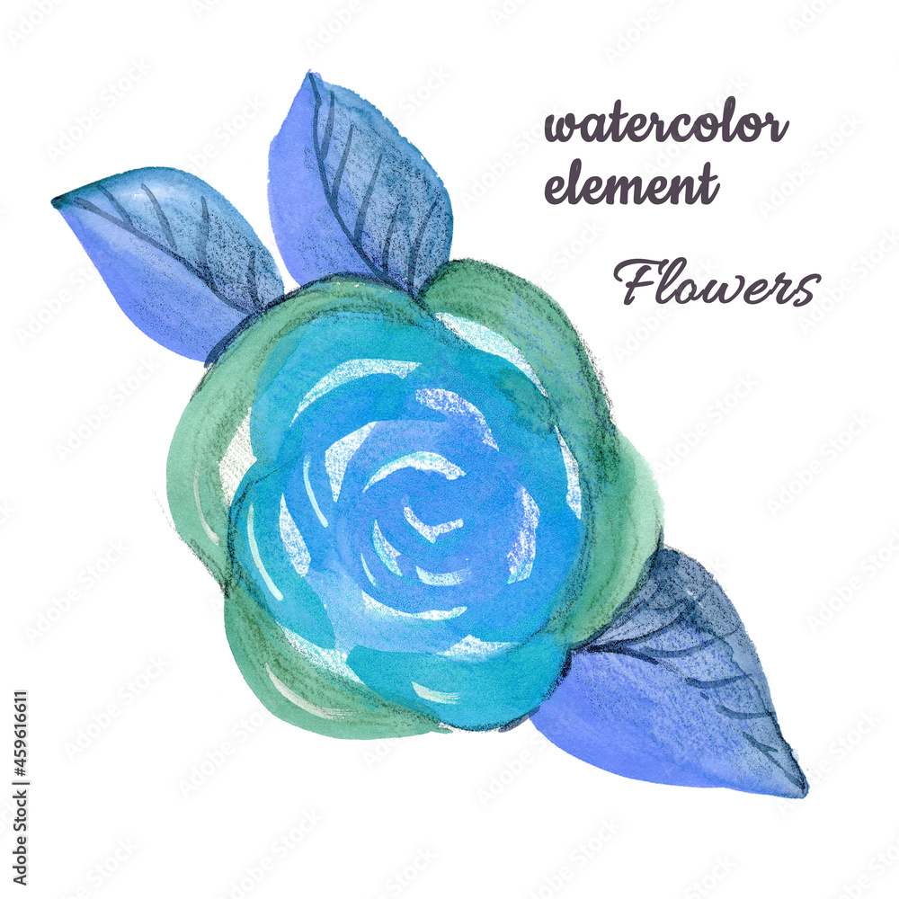Watercolor Flower hand-painted bud Rose on a white Background ...