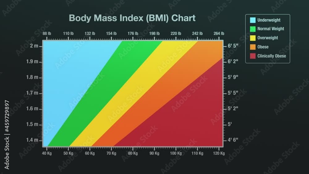 Body Mass Index Chart, infographic animation - dark theme Stock Video ...