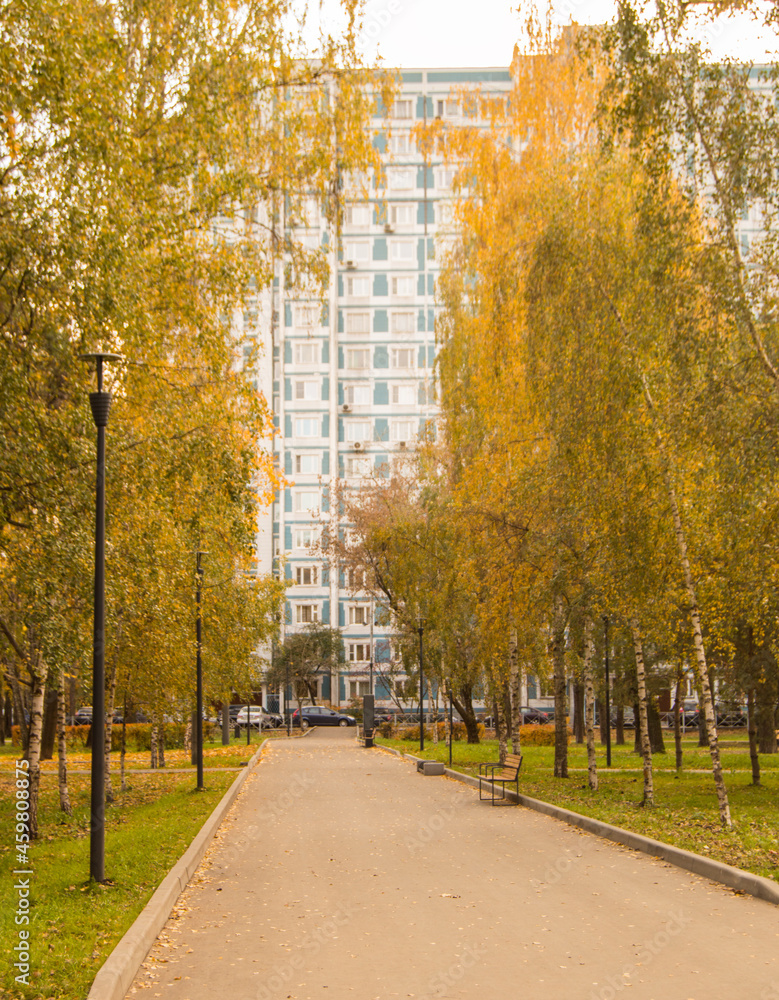 Autumn view of a MULTI-STOREY RESIDENTIAL BUILDING at the end of an ...