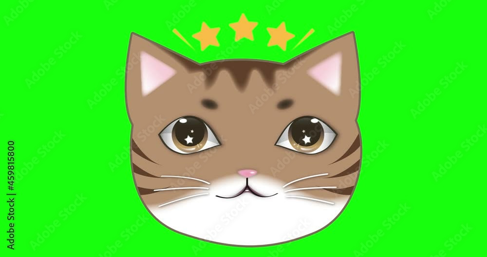 Cat Avatar with star in eyes Stock Video | Adobe Stock