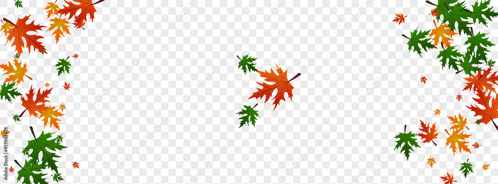 Colorful Foliage Background Transparent Vector. Plant Canadian Design ...