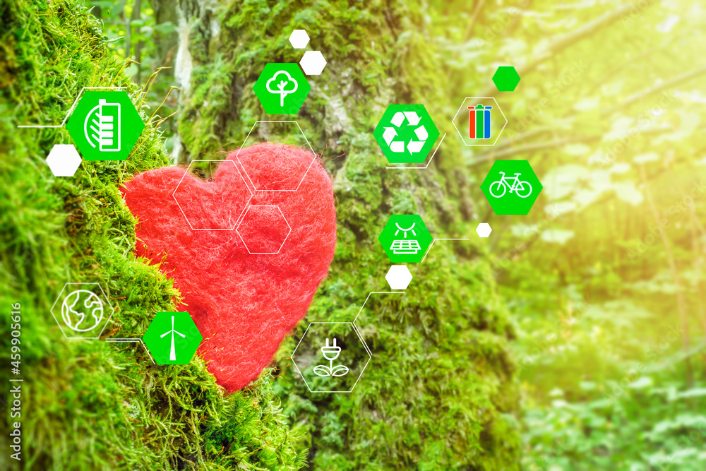 The red heart lies on the moss that grows on the trunk of a tree ...
