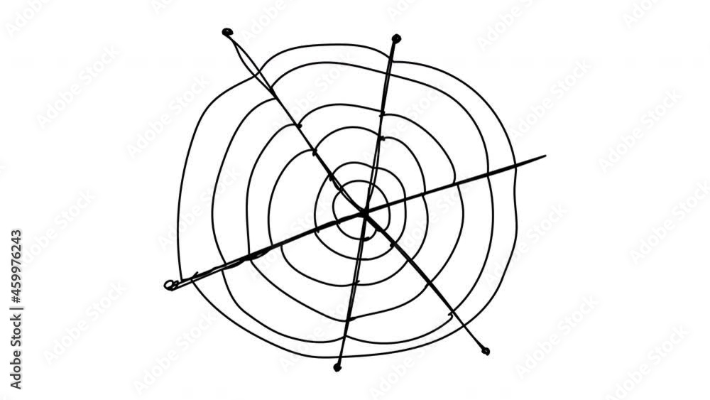 Self-drawing spider web in one line on a white background. 4k animation ...