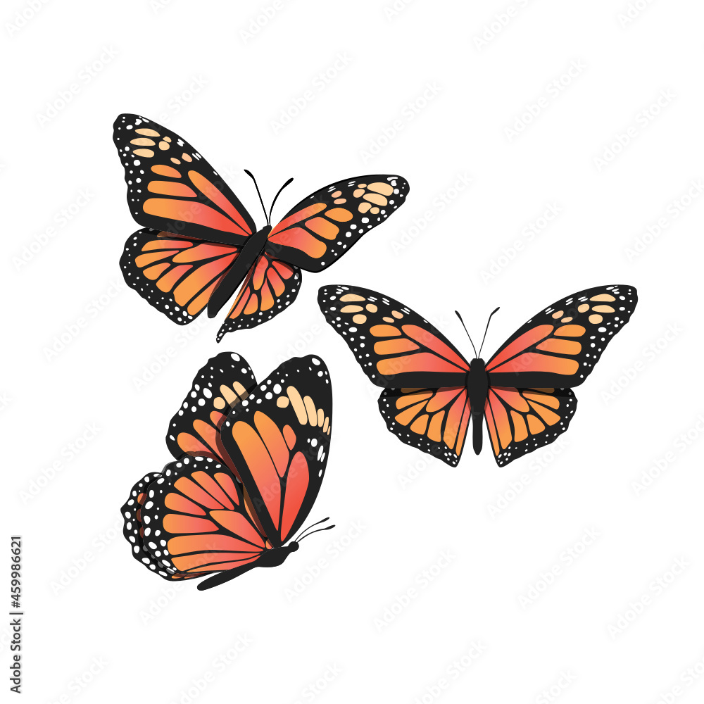 Monarch Butterfly, Butterfly Icon, Butterfly Set, Butterfly Vector ...