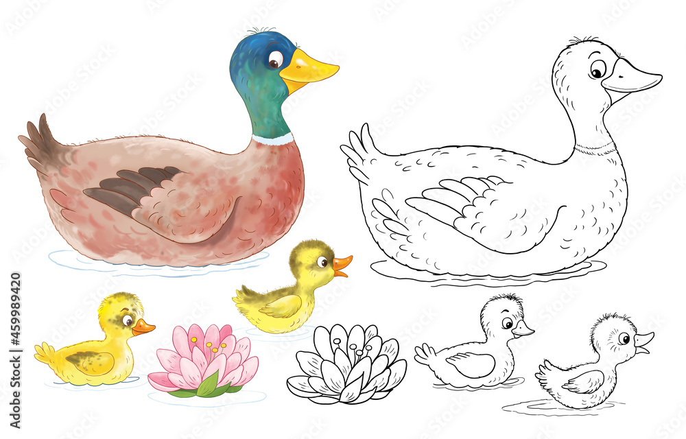 Cute farm animals. Mother duck and her ducklings. Coloring page ...