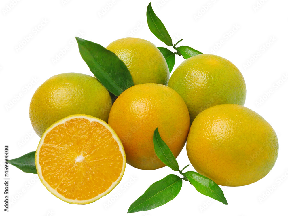 Grupo de laranjas inteiras e uma cortada ao meio com folhas da fruta em ...