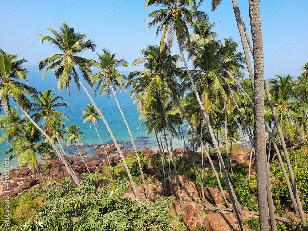 palm trees on the beach, beautiful blue water with coconut trees beach ...