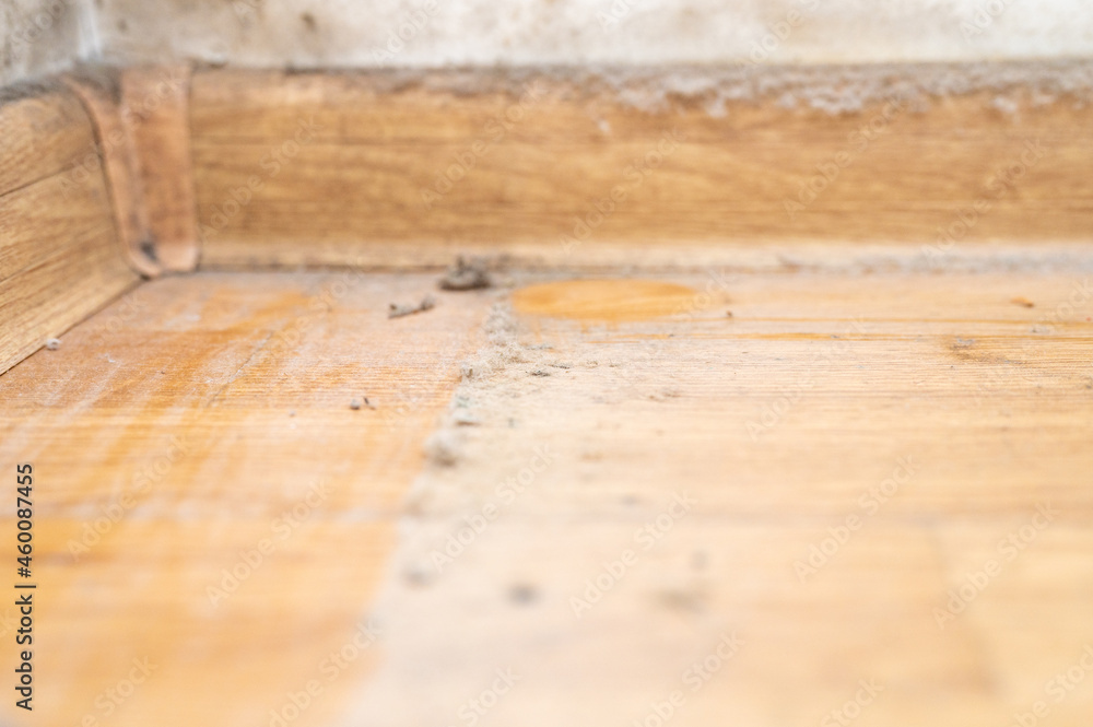 dust in the corner of the room. real old neglected dusty dirt, dirty ...