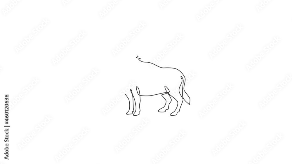 Animated self drawing of single continuous line draw sturdy wildebeest ...
