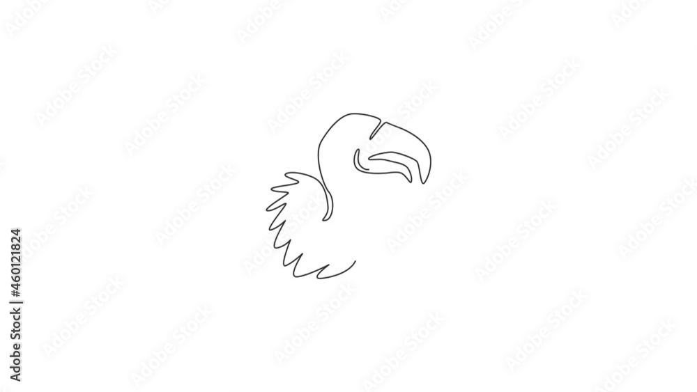 Animation of one single line drawing of large vulture for zoo logo ...