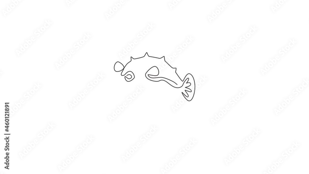 Animation of one single line drawing of beauty pufferfish for aquatic ...