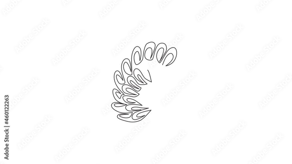 Animated self drawing of one continuous line draw beauty adorable ...