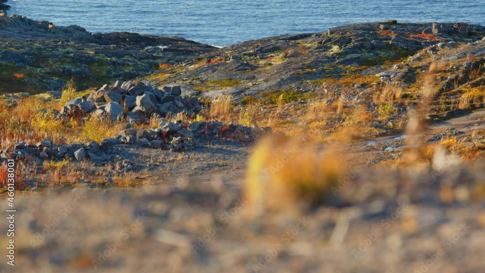Tundra in Russia. Autumn landscape of the Arctic tundra and Barents Sea ...