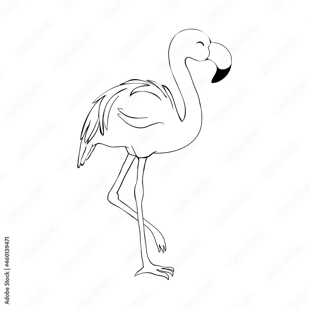 Hand drawn pink flamingo, colorful sketch style vector illustration ...
