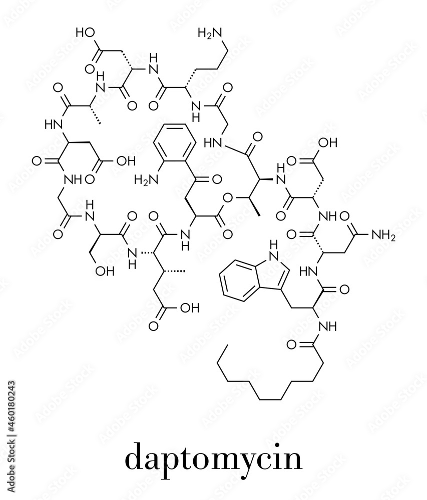 Daptomycin antibiotic drug molecule. Skeletal formula. Stock Vector ...