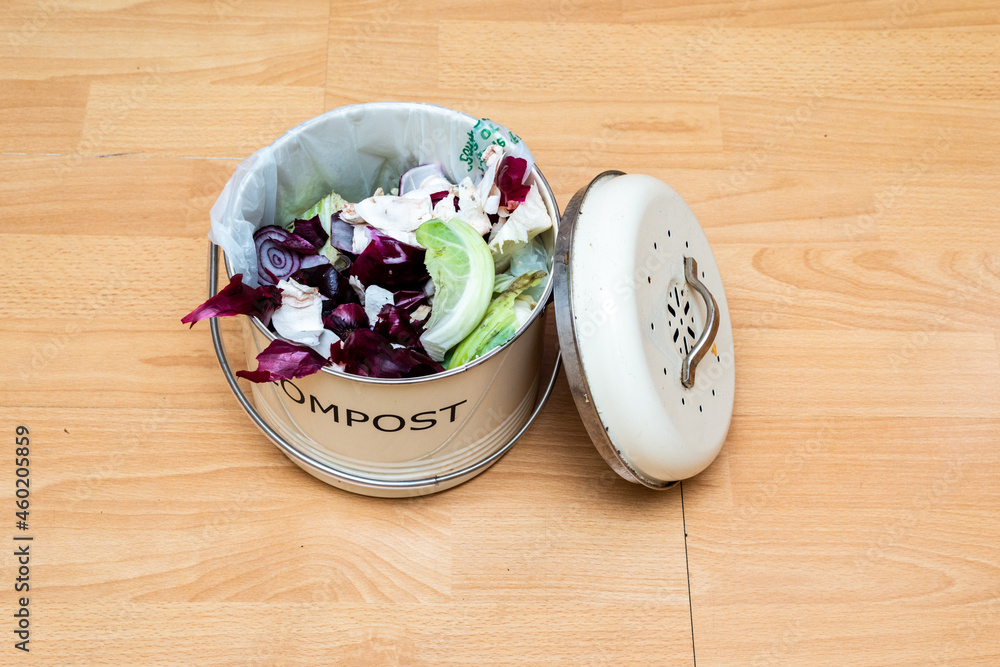 Food waste from domestic kitchen for eco friendly disposal and ...