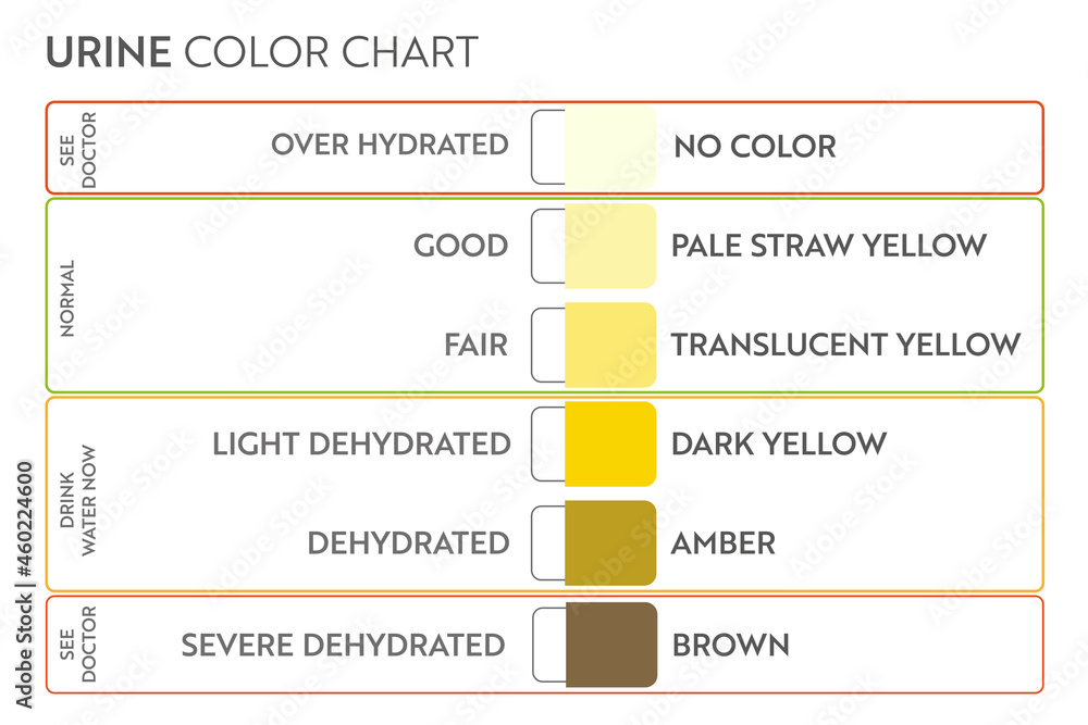 Urine color chart. Pee hydration and dehydration test strip. Vector ...