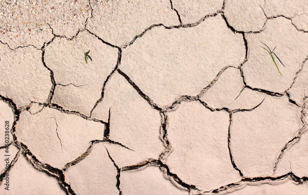 Pattern formed in dry and cracked earth with signs of new life green ...