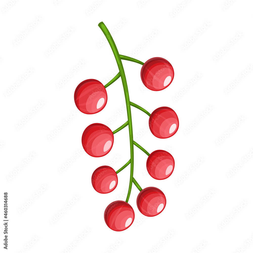 Colorful fruit. Red currants icon. illustration berry and fruit in flat ...