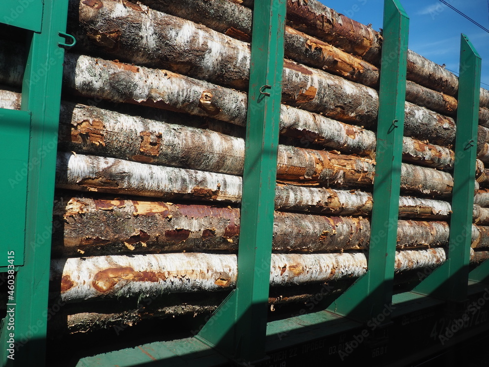 cargo timber train. Open train carriage with a bundle of timber for ...