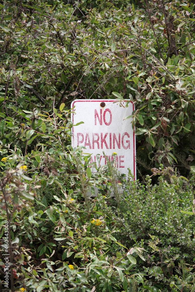 NO PARKING ANYTIME sign posted outdoors within the bushes, shrubs ...