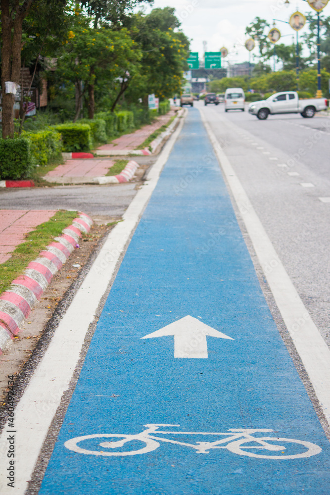 A bicycle traffic sign on a blue pavement is a road marking that ...