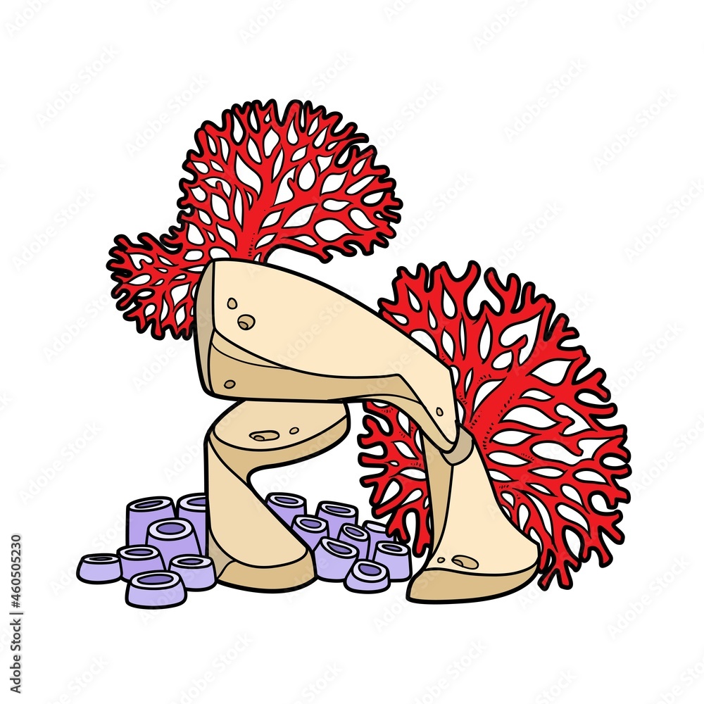 Coral polyps grow on stone color variation for coloring page isolated ...