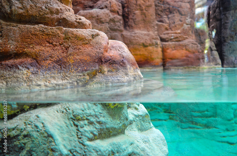 Underwater sea life - Photo of a small canyon next to the sea with ...