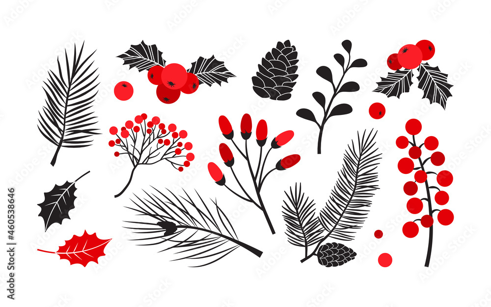 Christmas vector plants, holly winter decor, fir and pine tree, berry ...