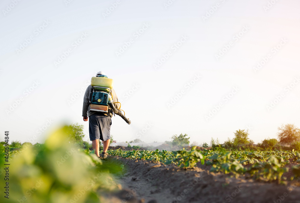 Farmer sprays pesticides on plantation. Agriculture and agro industry ...