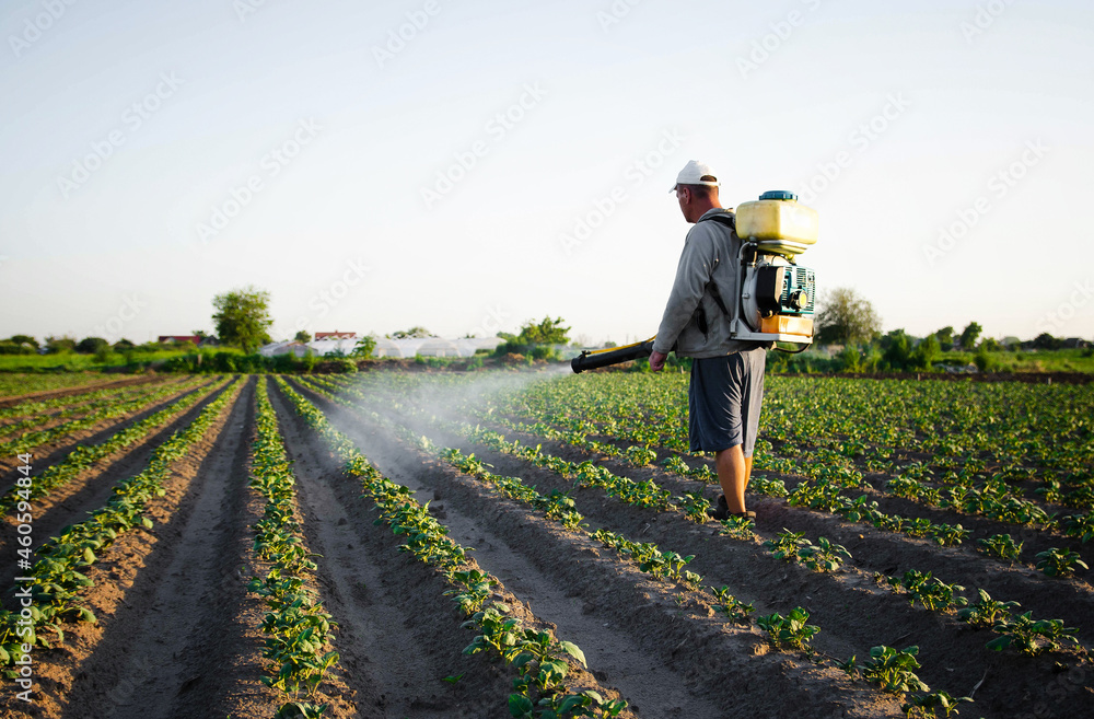 Farmer sprays pesticides on plantation. Use of chemicals for protection ...