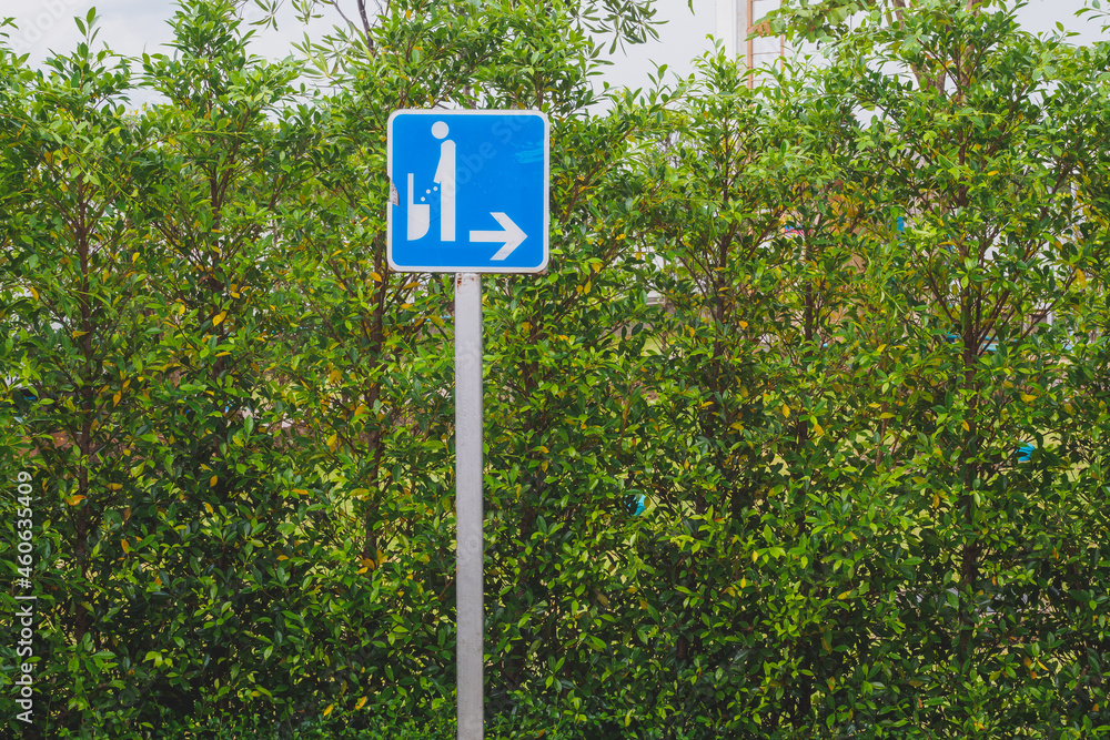 Blue urinal for men's toilet with the right direction on the tree bush ...